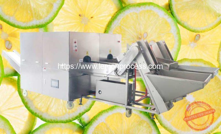 Automatic Lemon Chips Cutting Machine with Double Head Cutting ...