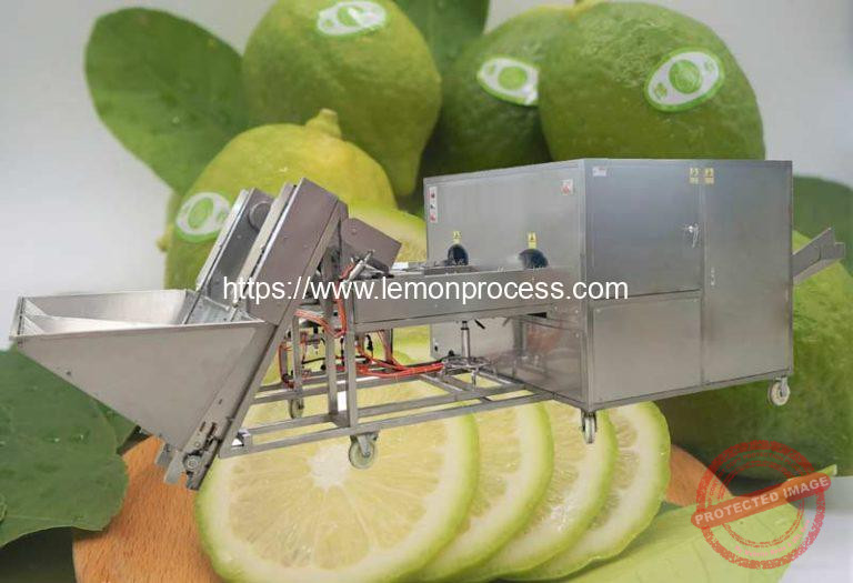 Automatic Lemon Chips Cutting Machine with Double Head Cutting ...