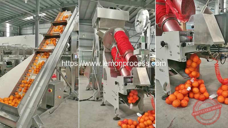 Automatic Lemon Counting Mesh Bag Packing Machine - Lemon Peeling ...