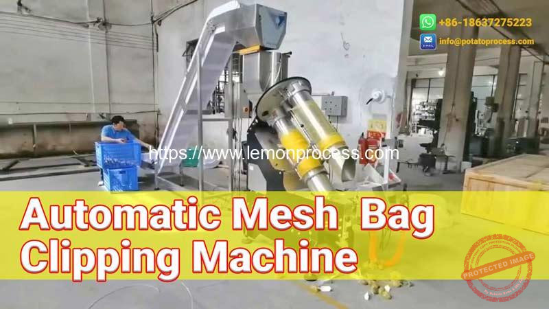 Full Automatic Mesh Bag Clipping Packing Machine - Lemon Peeling ...